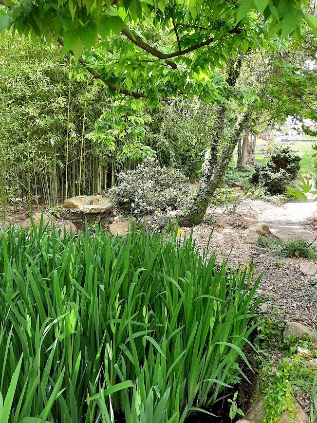 Fetherston Gardens – Public garden in Weston